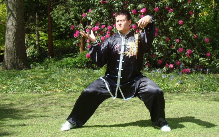 Master Wang Hai Jun – truenature tai chi